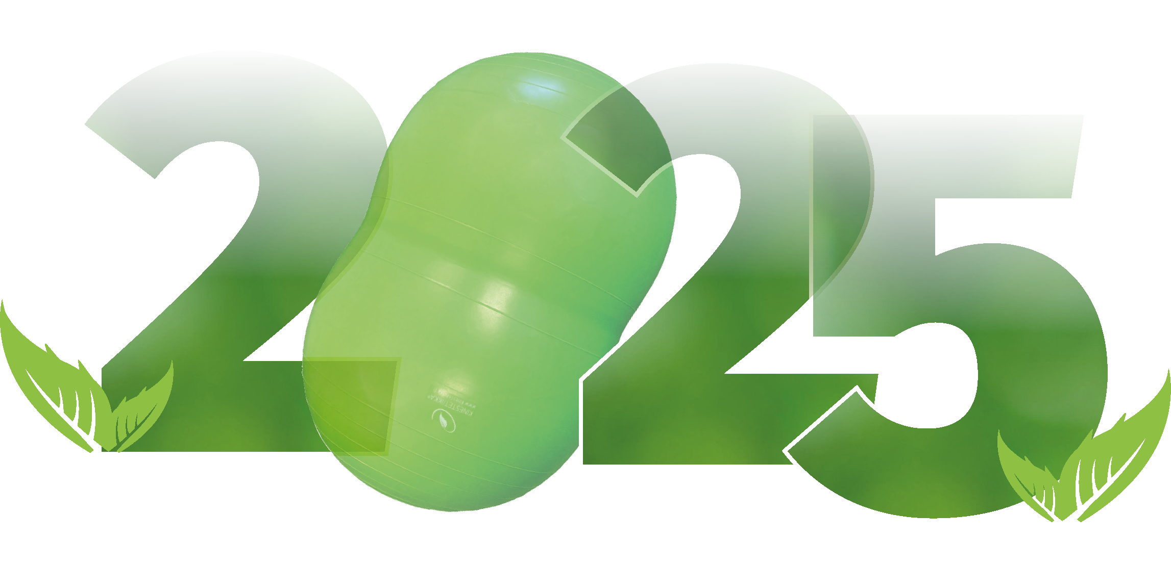 Toimintasuunnitelma 2025 - Kinestetiikkayhdistys